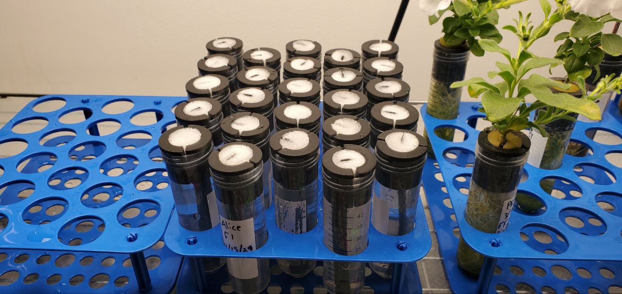 Falcoponics Lab Tube Hydroponics System by ATinyGreenCell | Download ...