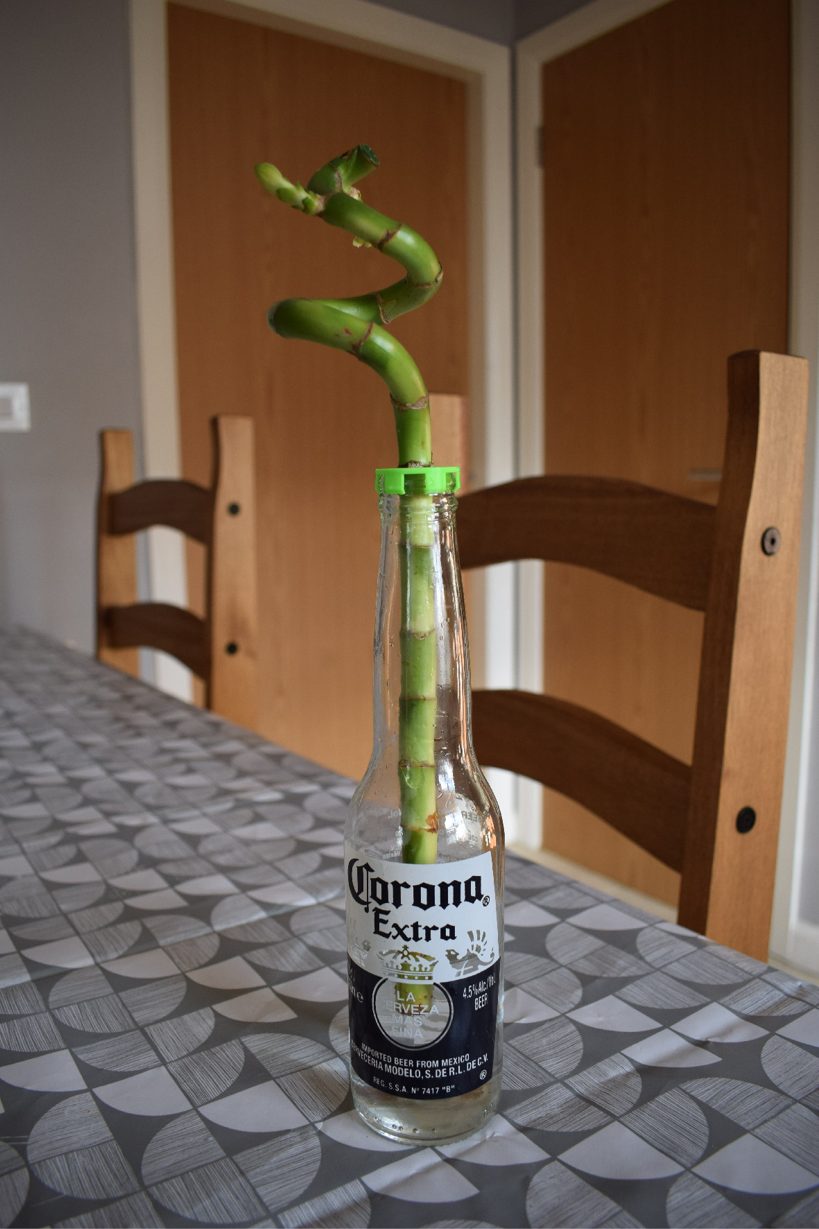 Lucky Corona Bamboo Planter by ElliotThompson | Download free STL model ...