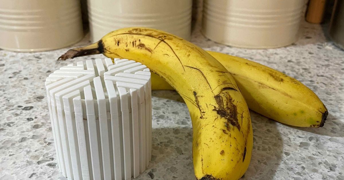 Decorative Fruit Fly Trap por Sam Baker | Descargar modelo STL gratuito ...