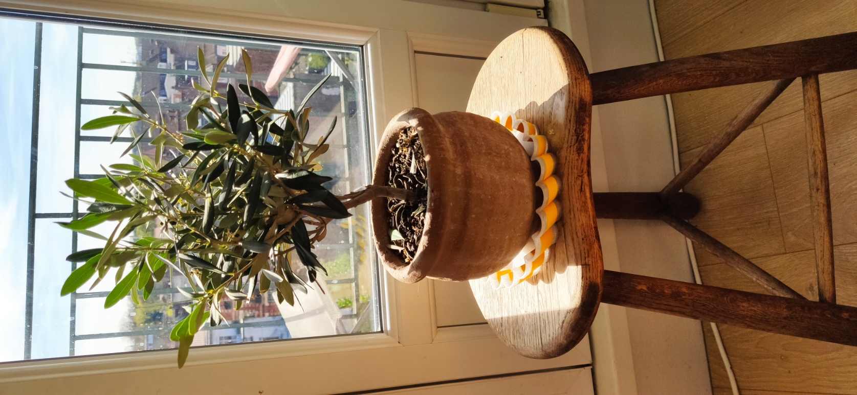 Petal-shaped plant pot coaster by Mige | Download free STL model ...