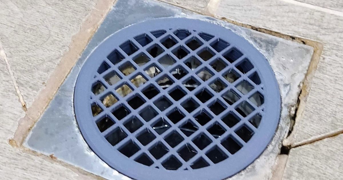 Drain cover by ilan brodsky | Download free STL model | Printables.com