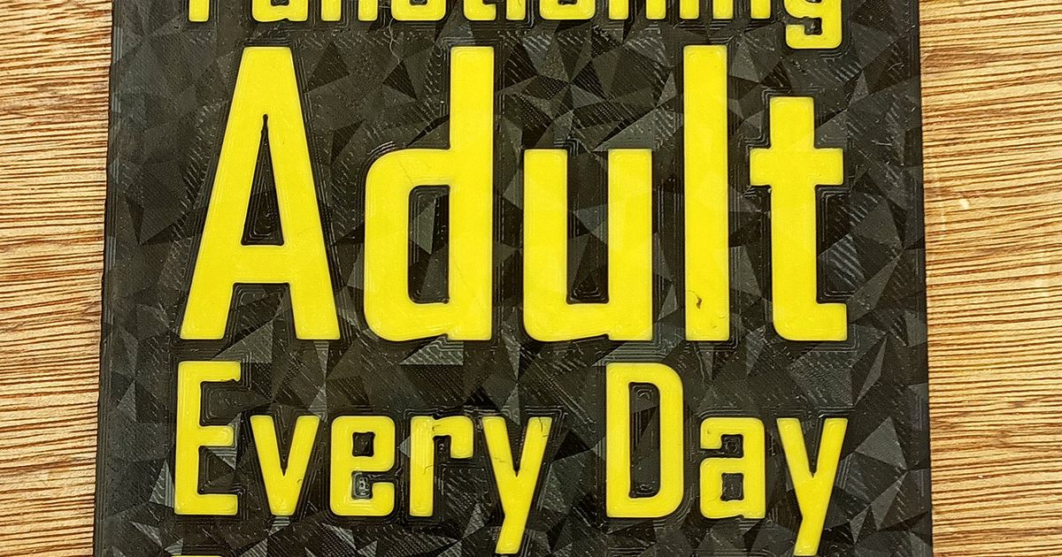 Funny Sign - Being a Functioning Adult Every Day Seems Excessive by ...