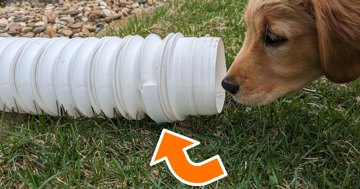 Ground Spout Anchor (90mm) by cedarrapidsboy | Download free STL model ...