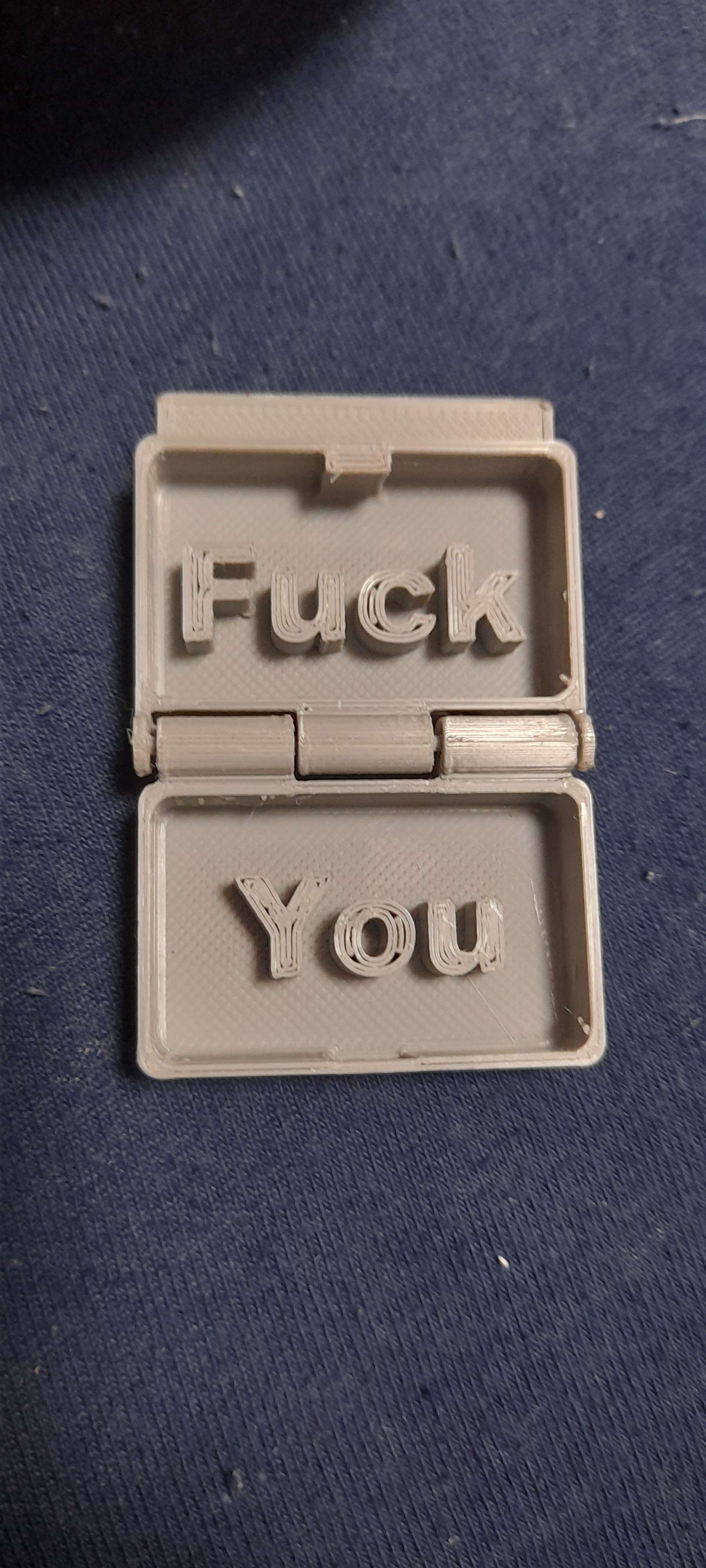 F*** You Pun Box by Thisisthecat | Download free STL model | Printables.com
