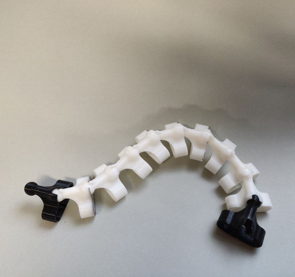 Cable Spine (Updated 03-07-2023) by Kyniverse | Download free STL model ...