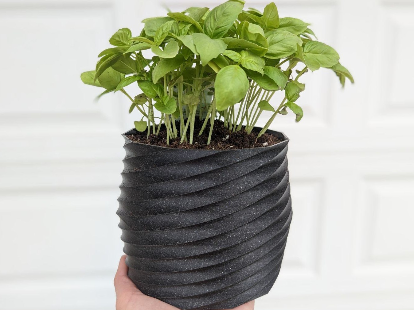 Flower Pot par Matt Thibs | Téléchargez gratuitement un modèle STL ...