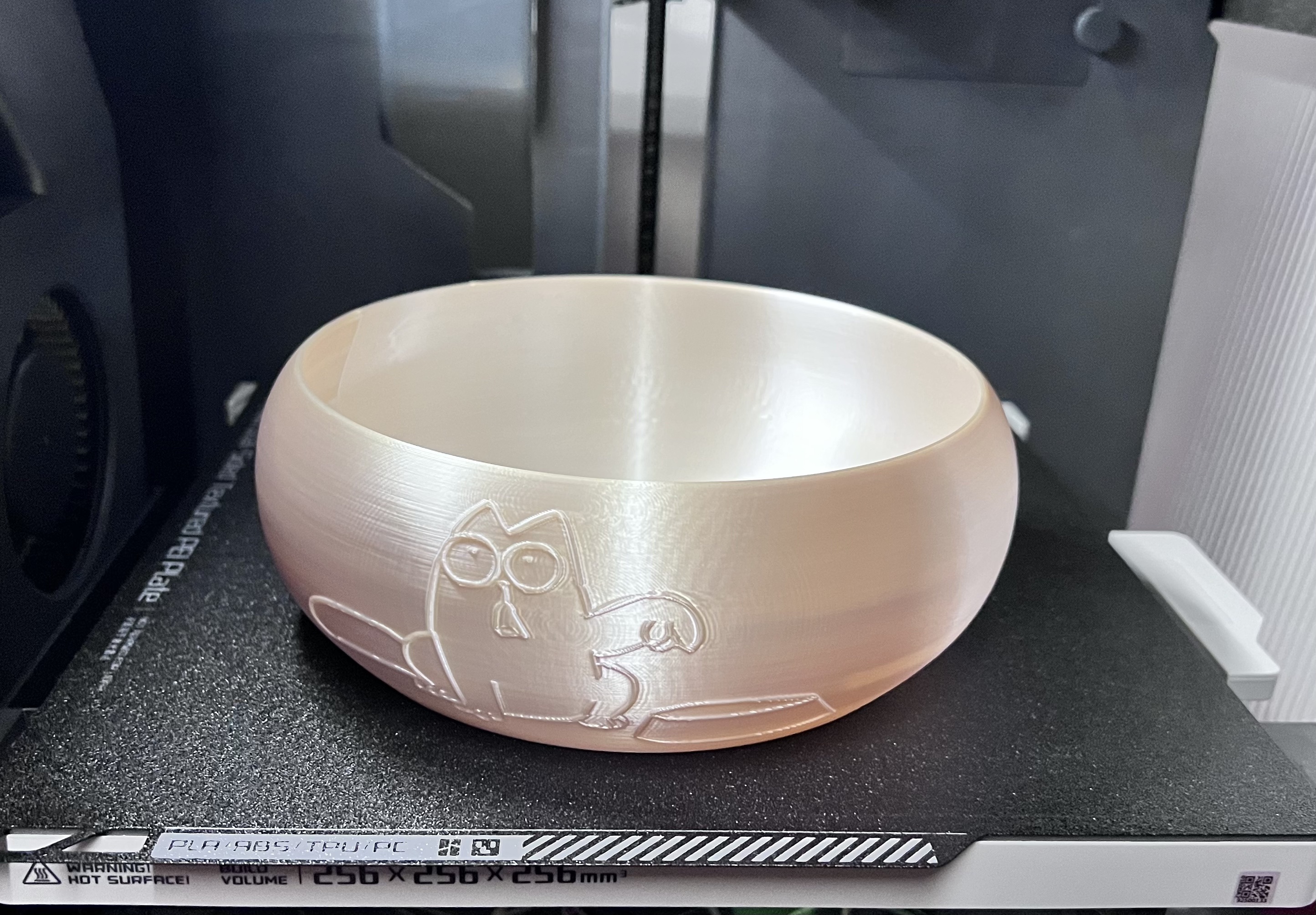 Bowl with cat by 3D servis | Download free STL model | Printables.com