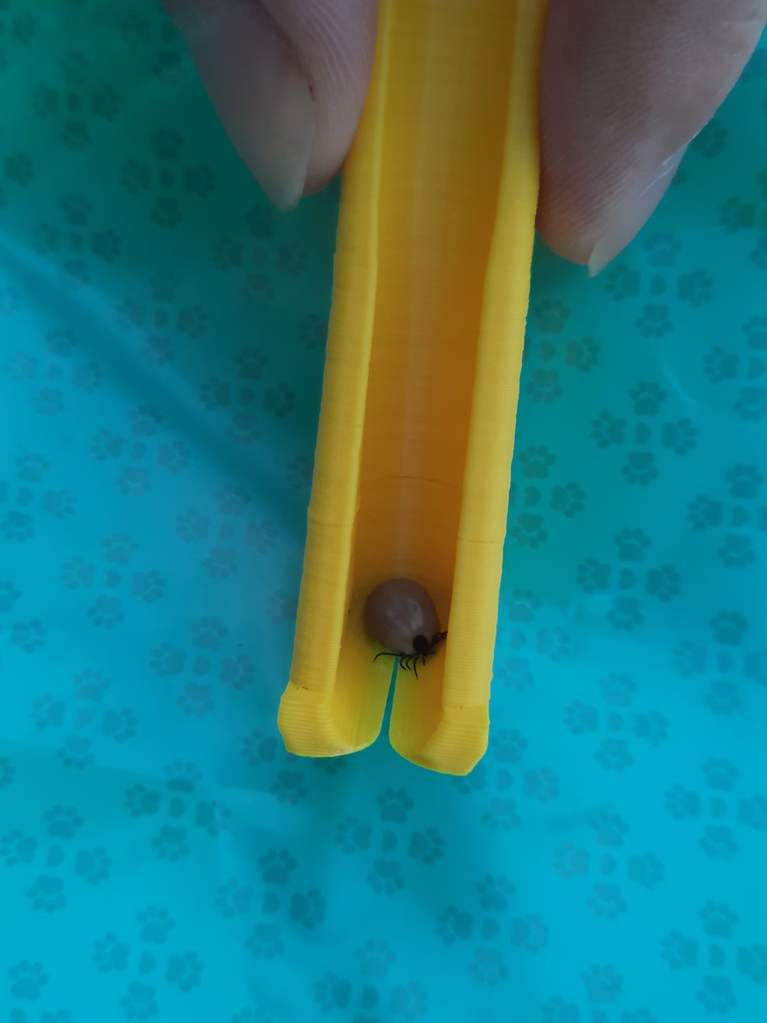 Tiffer - The Tick Remover Fridgemagnet. by Jobis | Download free STL ...