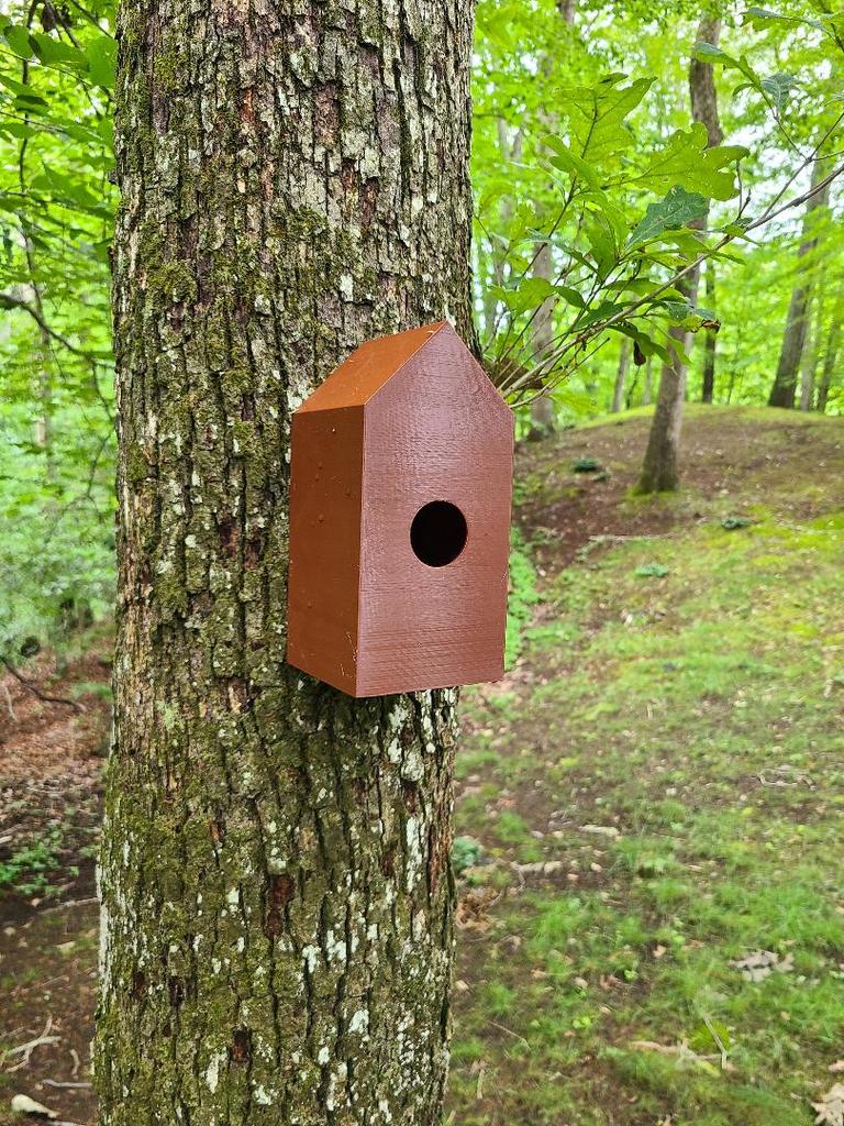 Basic A-Frame Birdhouse by Terceran | Download free STL model ...