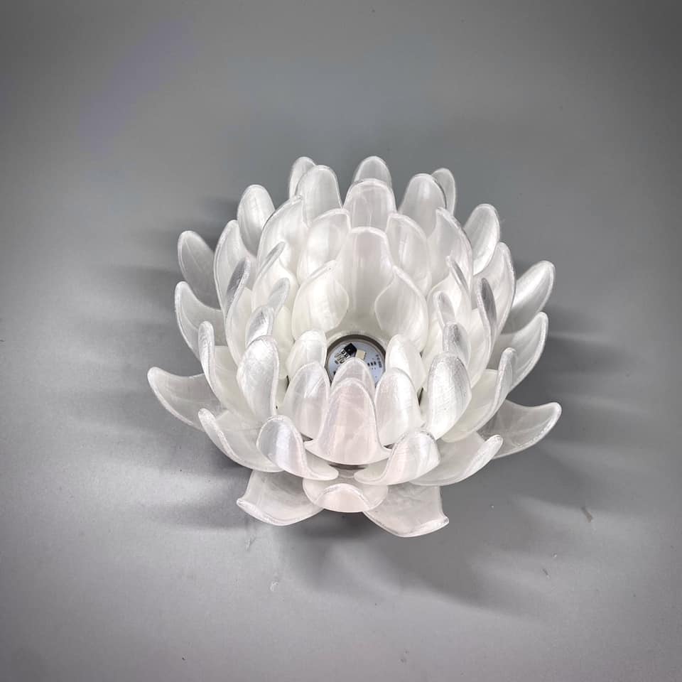 Lotus Lamp by ChrisTheViolaNerd | Download free STL model | Printables.com