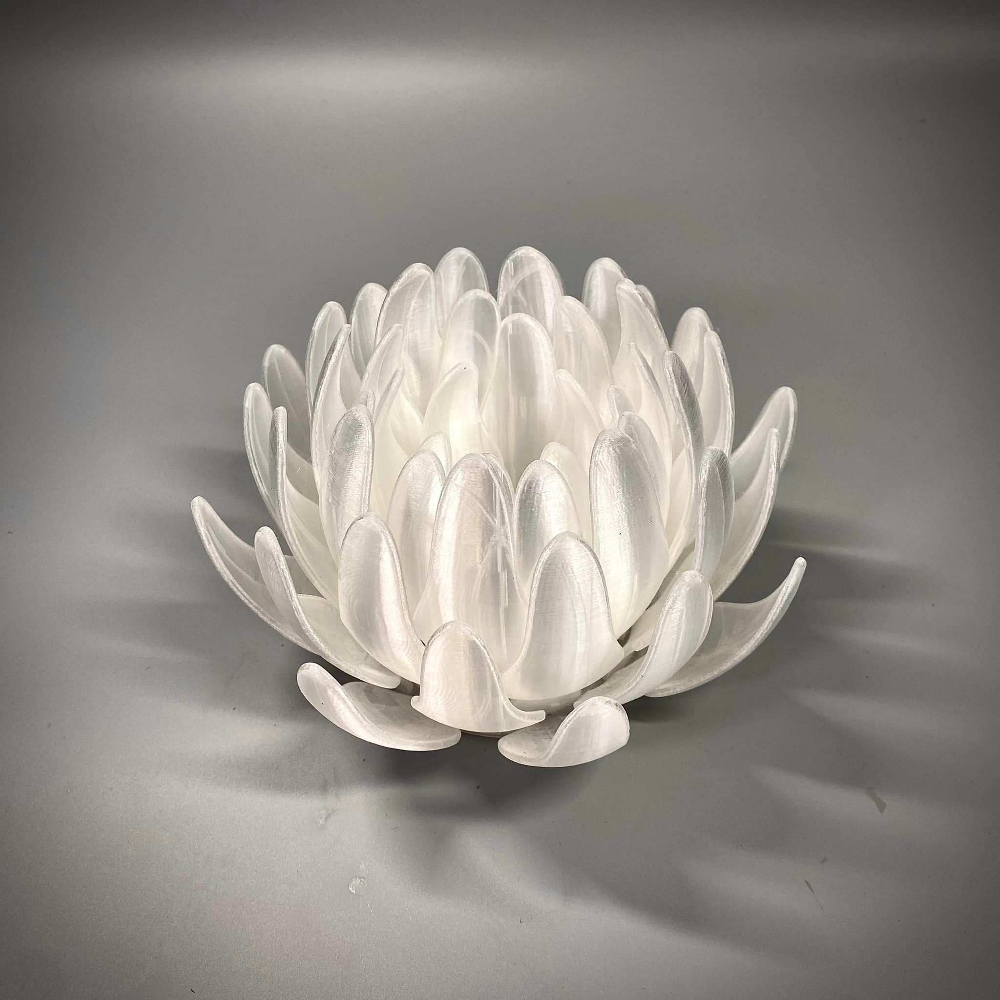 Lotus Lamp by ChrisTheViolaNerd | Download free STL model | Printables.com