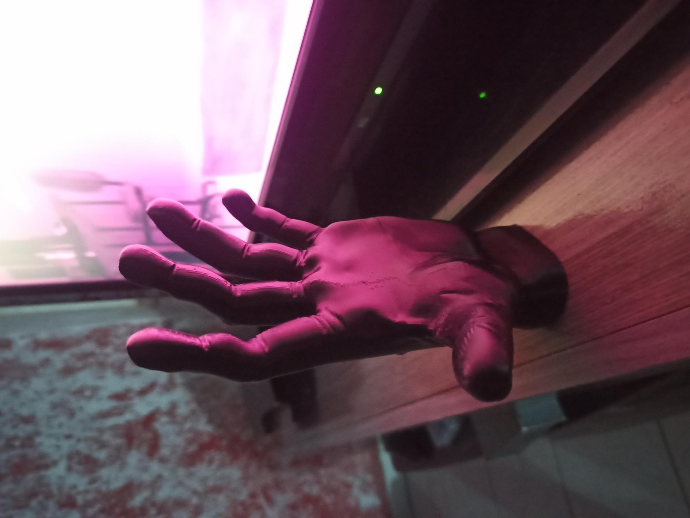 Realistic Hand by Leo_Careca | Download free STL model | Printables.com