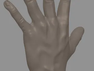 Realistic Hand by Leo_Careca | Download free STL model | Printables.com