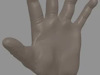 Realistic Hand by Leo_Careca | Download free STL model | Printables.com