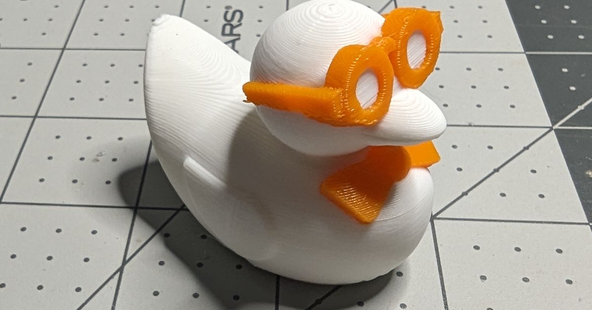 Professor Duck by D3D Pro | Download free STL model | Printables.com