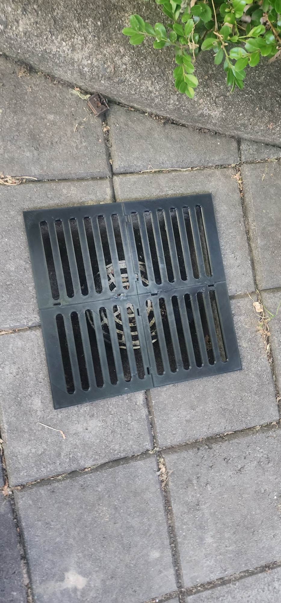 250x260 Drain Cover by Kern_Knight | Download free STL model ...