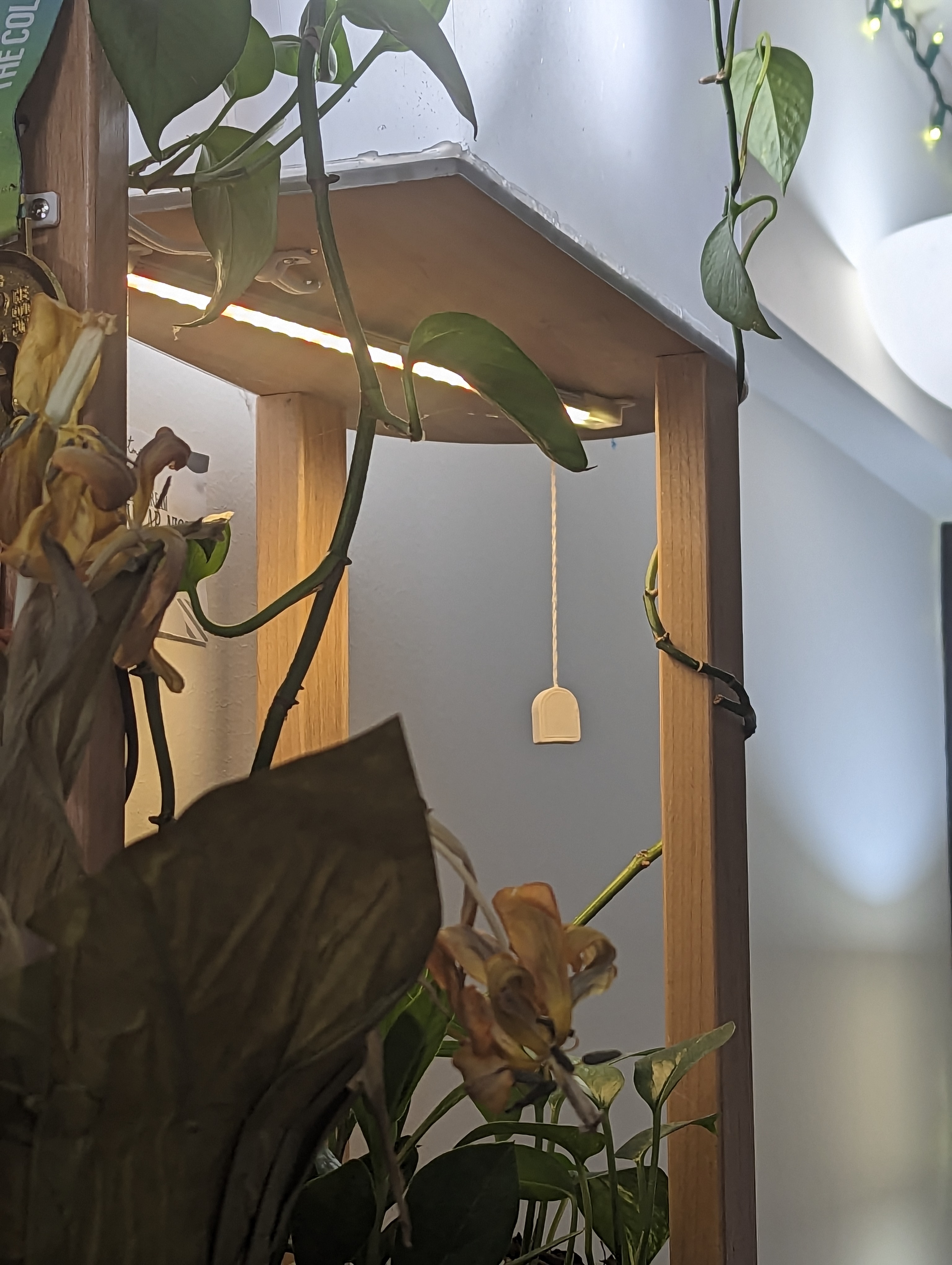 Simple Lamp Pull by Benji Makes | Download free STL model | Printables.com