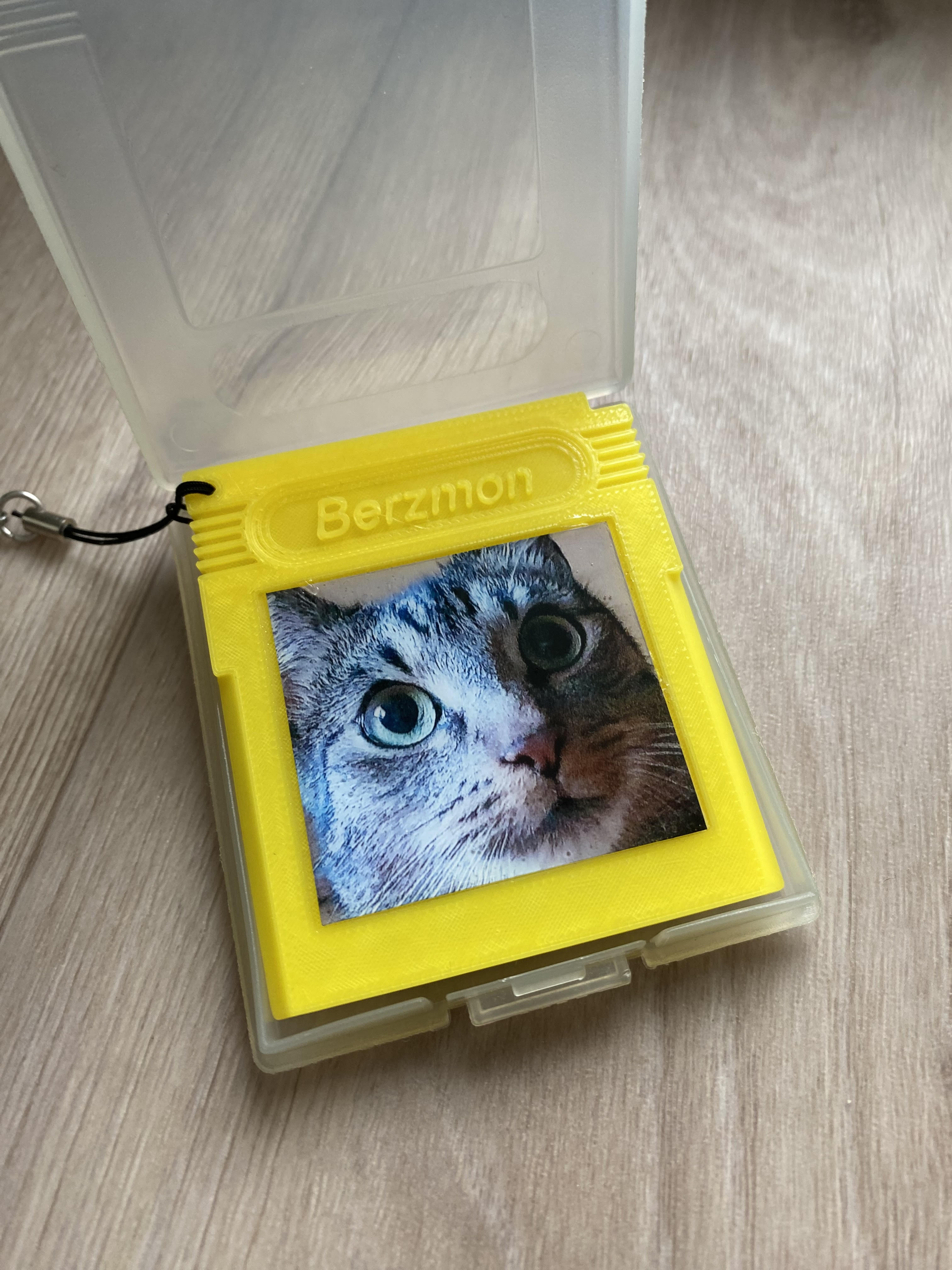Cartridge Picture Keychain By Sporesee Download Free Stl Model