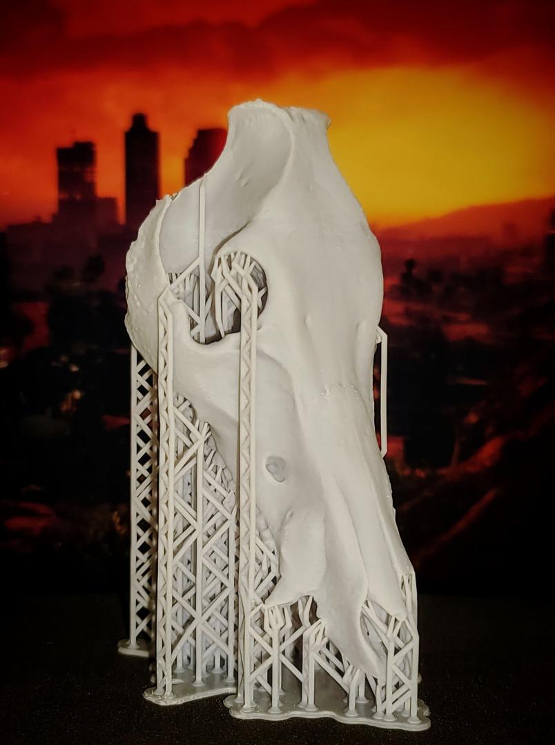 Real Boar's Skull by PieSupplies | Download free STL model | Printables.com