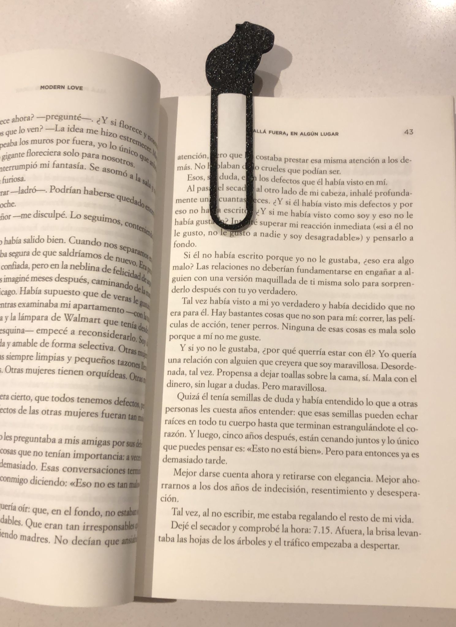 Cute Capybara Bookmark by Nerdot | Download free STL model | Printables.com