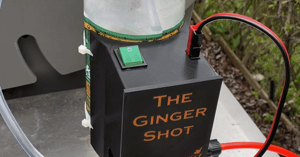 Ginger Shot by Griffin | Download free STL model | Printables.com