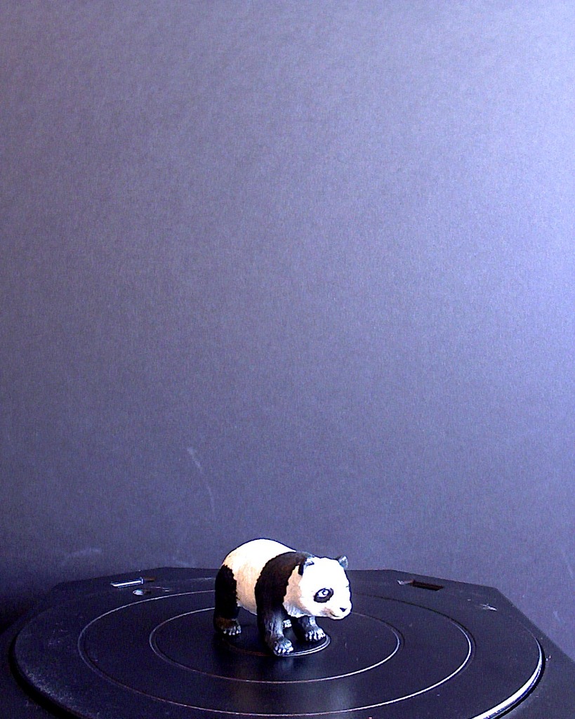 Small Panda Bear by jsank95 | Download free STL model | Printables.com