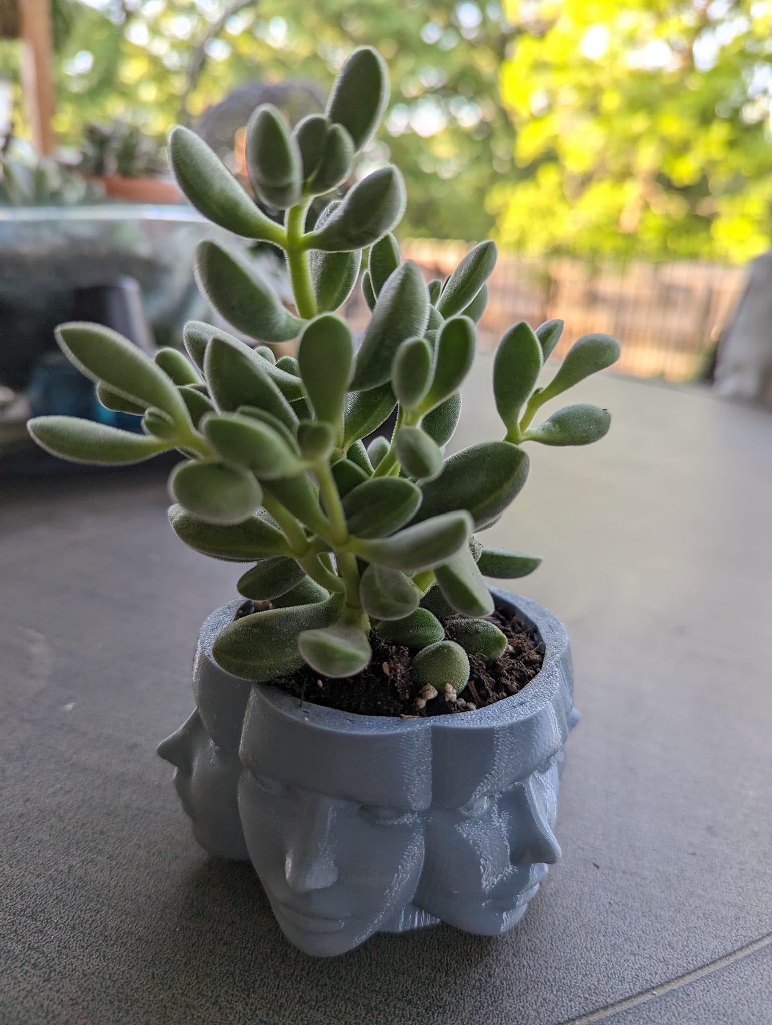 Face Planter by D3D Pro | Download free STL model | Printables.com