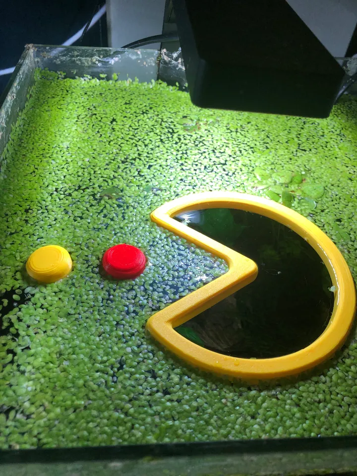 Pacman fish portal by Jobis | Download free STL model | Printables.com