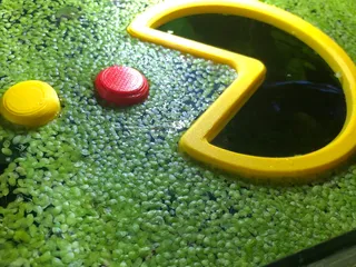Pacman fish portal by Jobis | Download free STL model | Printables.com