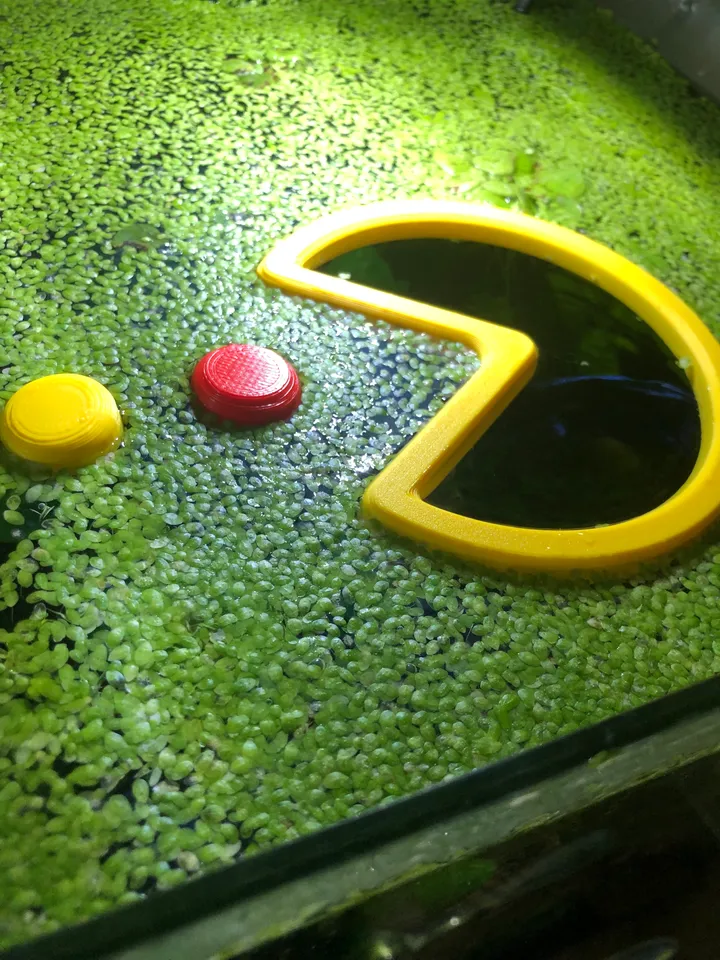 Pacman fish portal by Jobis | Download free STL model | Printables.com