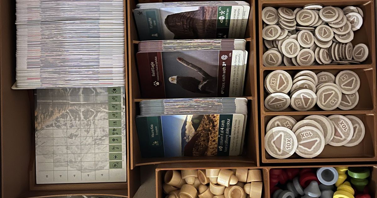 Earth Board Game Insert: Sprouts and Soil by Endlessly Iterating ...