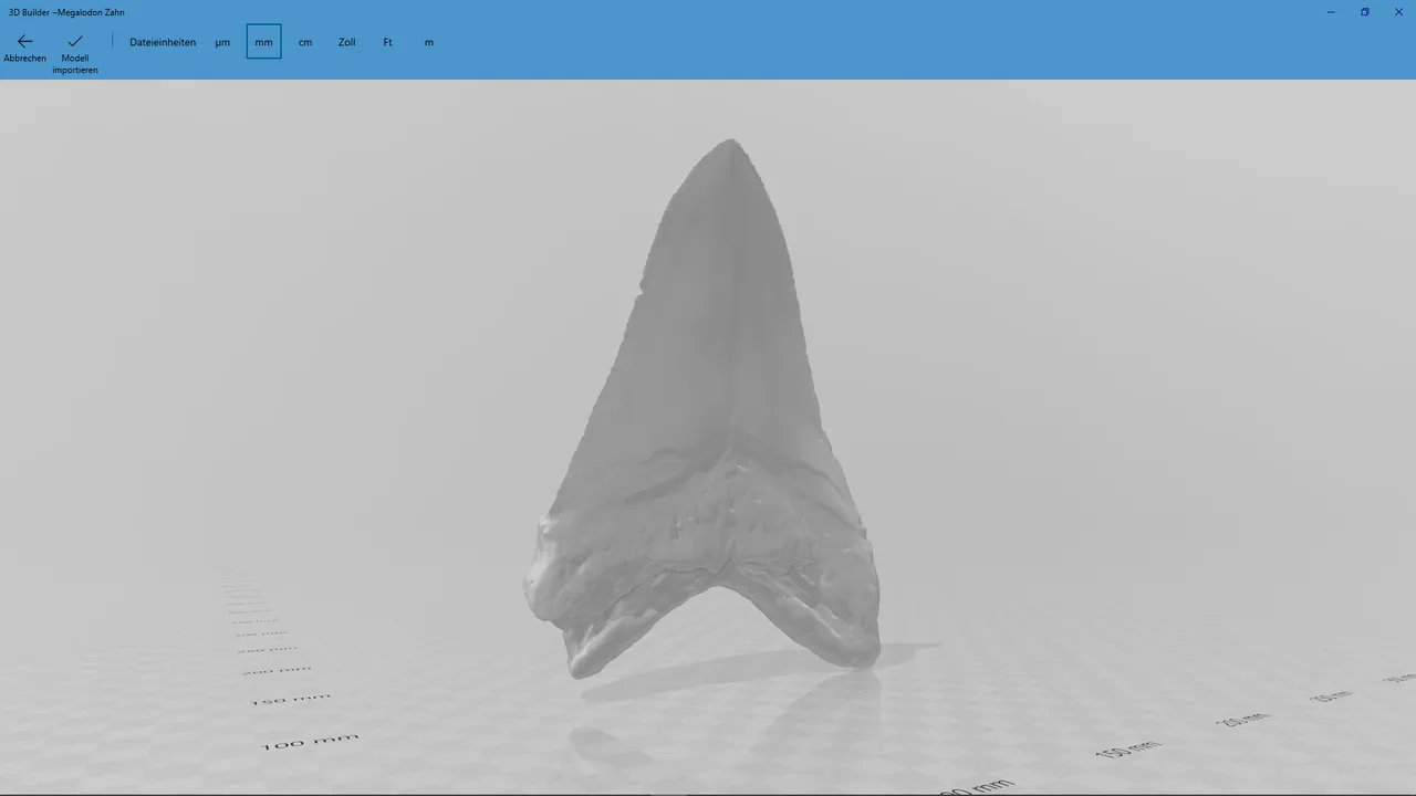 Megalodon tooth by olli | Download free STL model | Printables.com