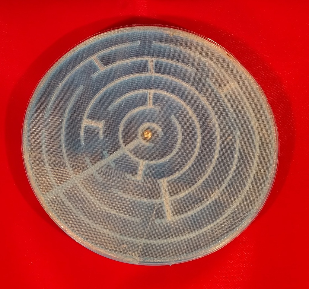 Round tuit puzzle maze by Henry | Download free STL model | Printables.com