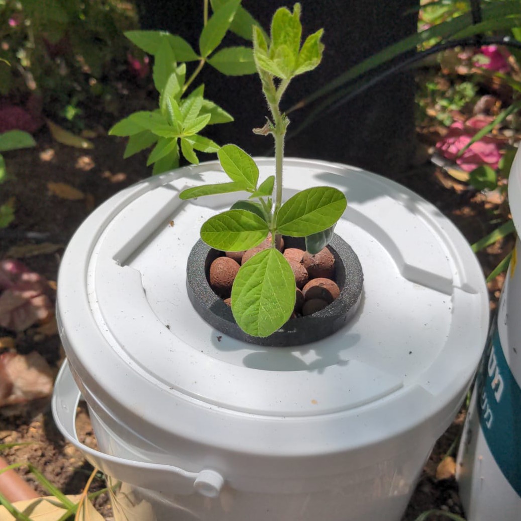 Coco Peat Net Cup by falangy | Download free STL model | Printables.com
