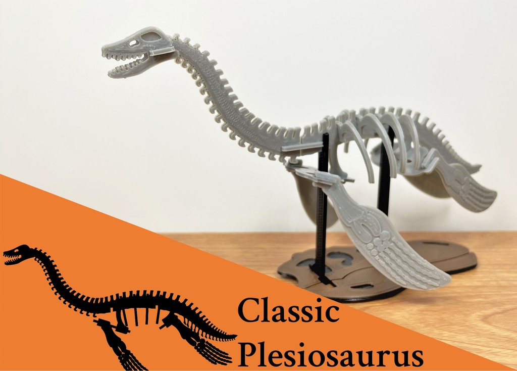 [3Dino Puzzle] Classic Style Plesiosaurus by STAG_B | Download free STL ...
