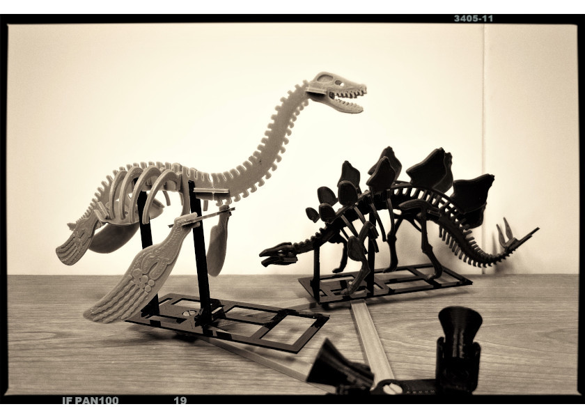 [3Dino Puzzle] Classic Style Plesiosaurus by STAG_B | Download free STL ...