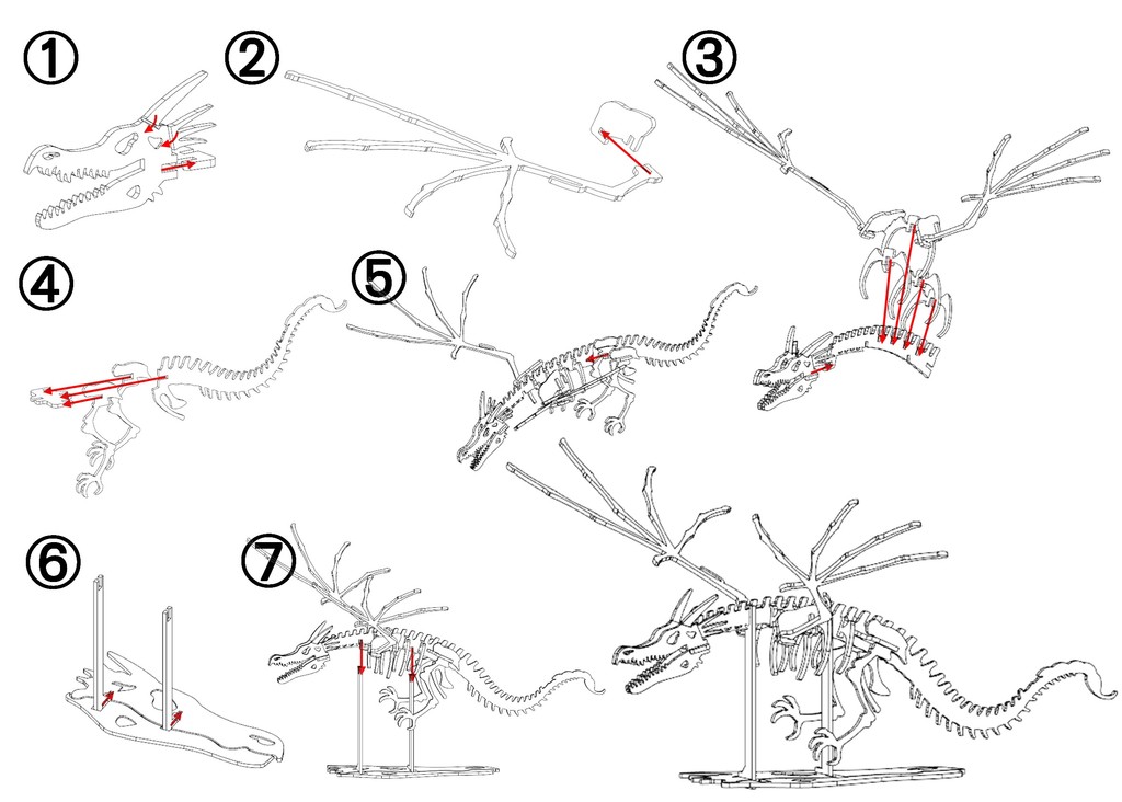 [Fantasy & Primal] Wyvern Skeleton by STAG_B | Download free STL model ...