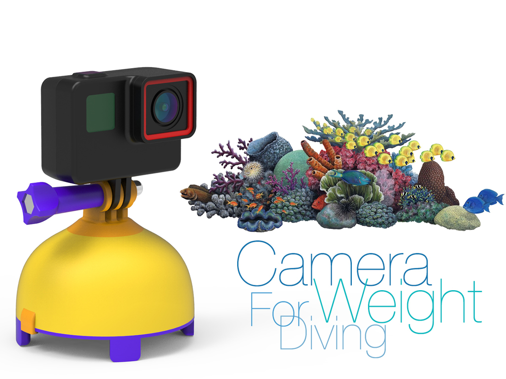 Camera Weight for Diving by Ruvim Kub | Download free STL model ...