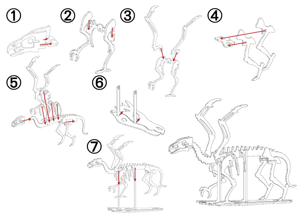[Fantasy & Primal] Griffin Skeleton by STAG_B | Download free STL model ...
