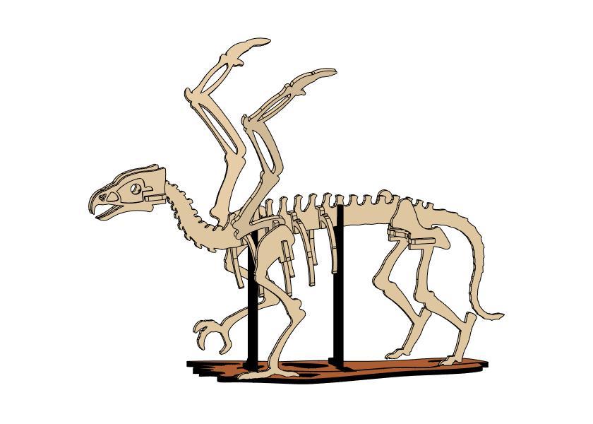 [Fantasy & Primal] Griffin Skeleton by STAG_B | Download free STL model ...