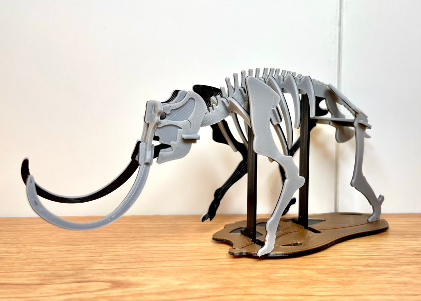 [Fantasy & Primal]Mammoth Skeleton by STAG_B | Download free STL model ...