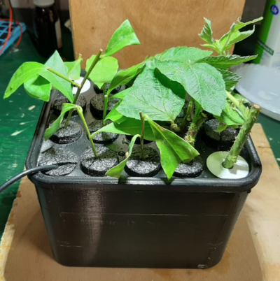 Aeroponics system for Cuttings (no support) by G4ZO | Download free STL ...