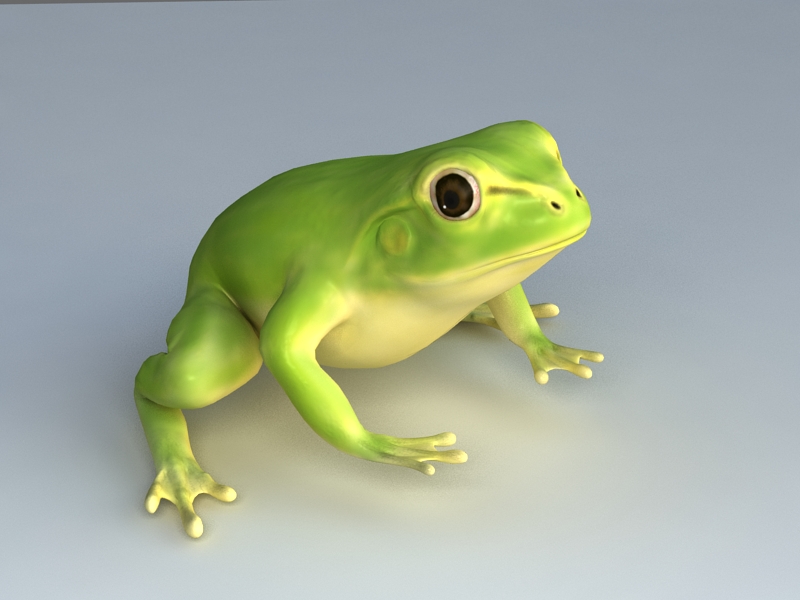 Frog by Jaddy13 | Download free STL model | Printables.com