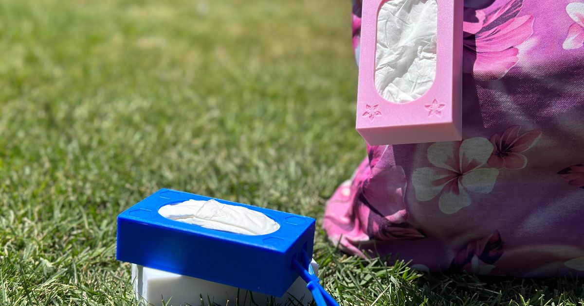 Travel Tissue Box with Hook, 4 Designs to Choose From by CoffeeGirl713 ...