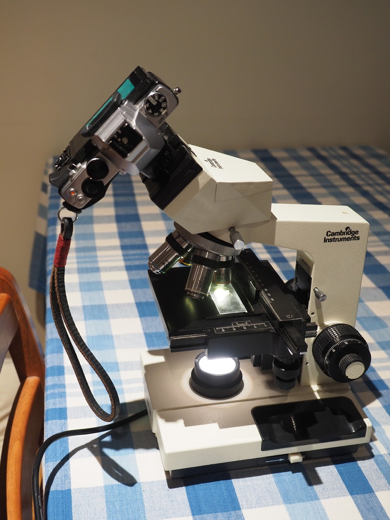 M4/3s to 23.2 mm microscope adapter by Martin_au | Download free STL ...