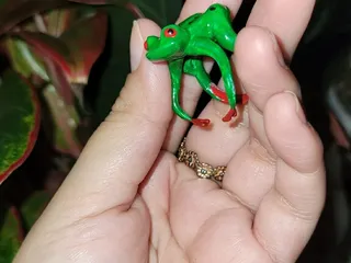 Tree Frog Ring by WildFern23 | Download free STL model | Printables.com