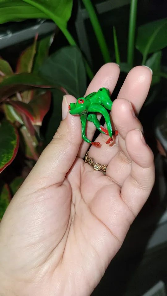 Tree Frog Ring by WildFern23 | Download free STL model | Printables.com