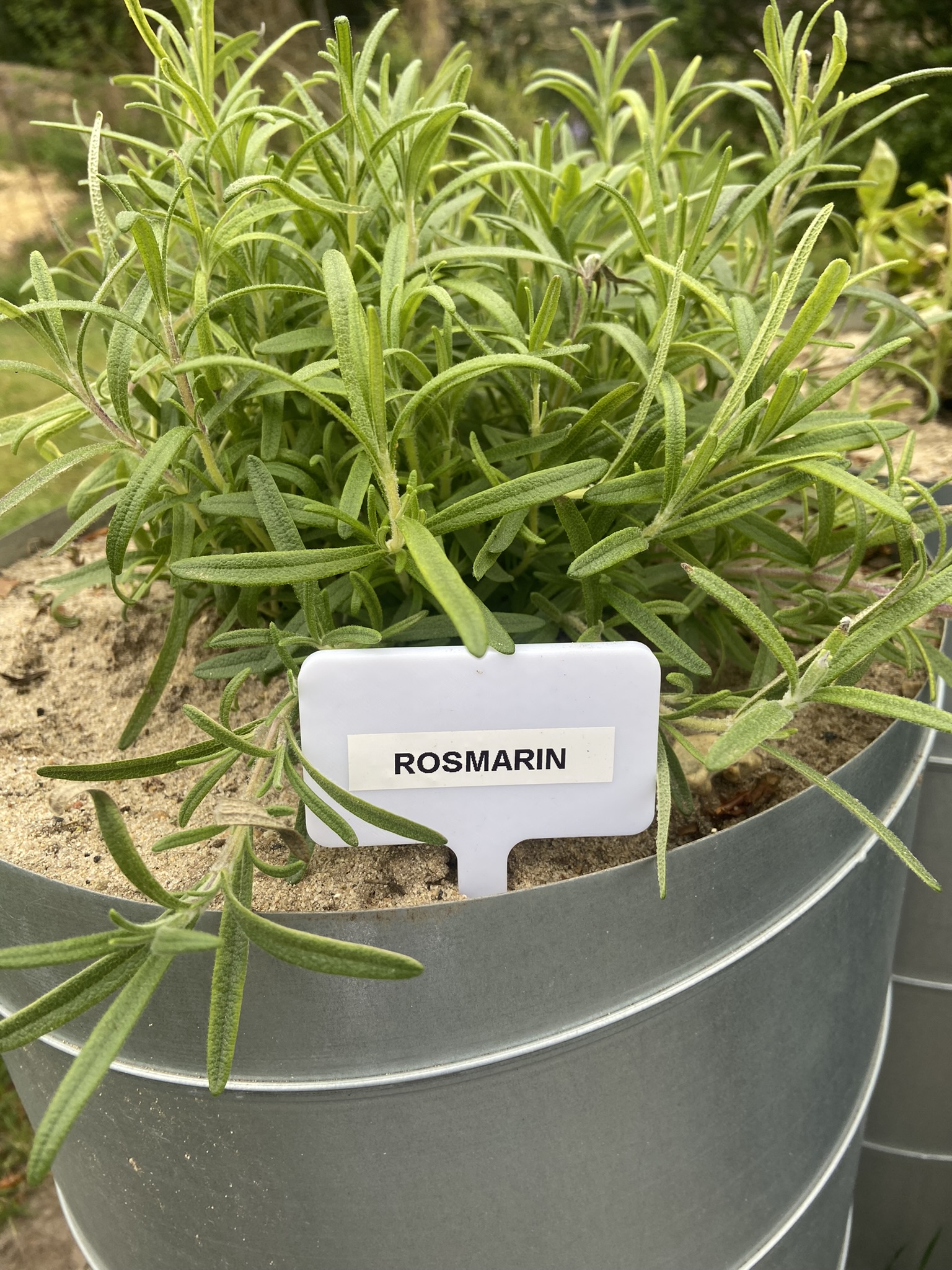 Plant tag by Wubbe93 | Download free STL model | Printables.com