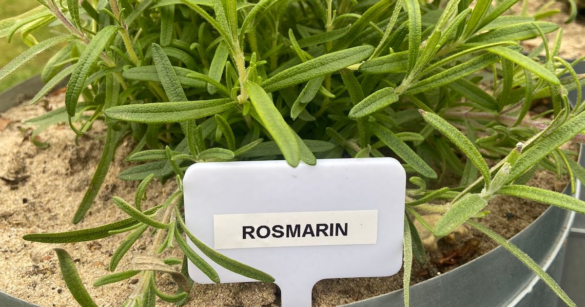 Plant tag by Wubbe93 | Download free STL model | Printables.com