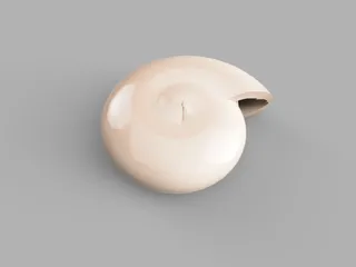 Snail Shell by Pau Serrat Gutiérrez | Download free STL model ...